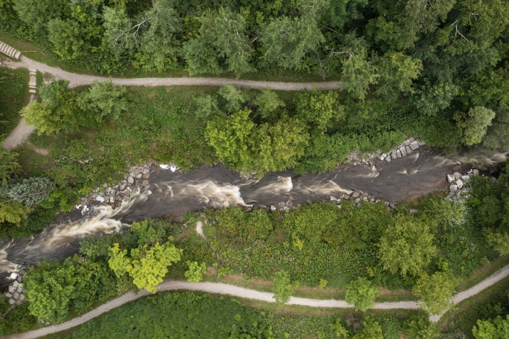 5 Unforgettable Hikes for Summer Days in the Petoskey Area - Petoskey Area