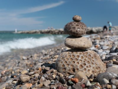 Petoskey Stone Celebrates 55 Years as Michigan’s State Stone - Petoskey ...