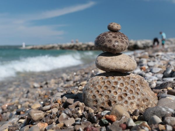 Petoskey Stone Celebrates 55 Years as Michigan’s State Stone - Petoskey ...
