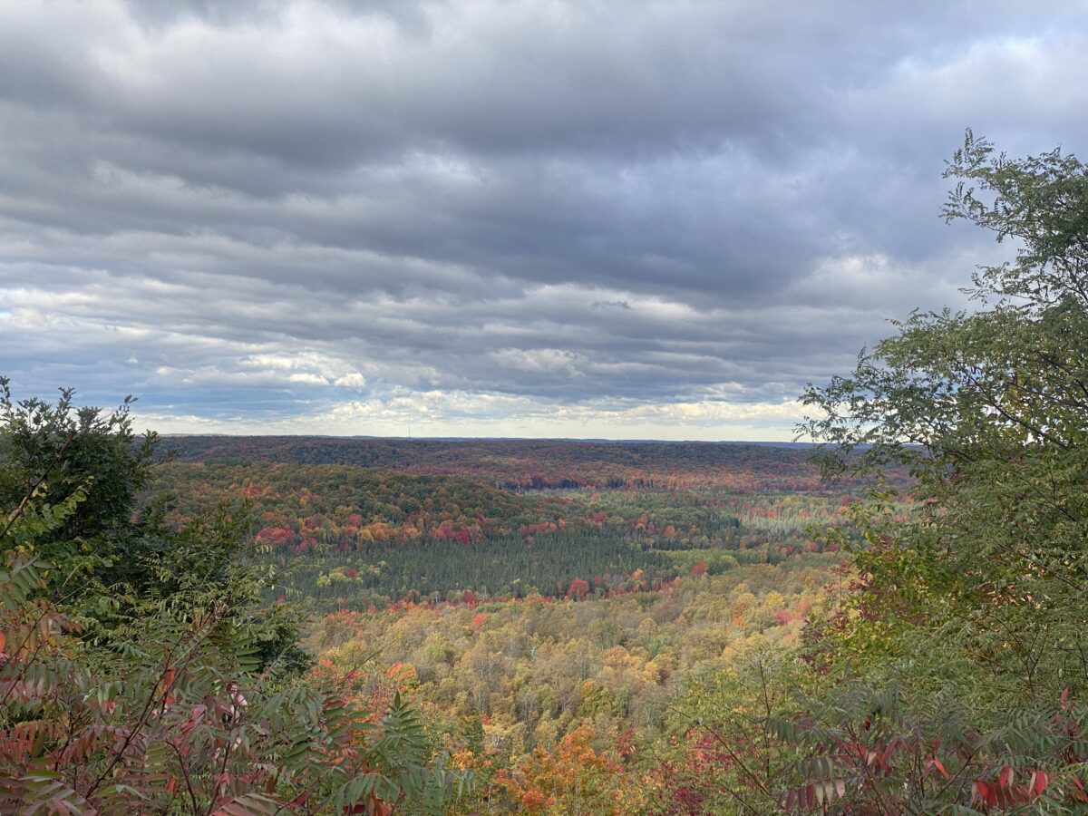 Fall Color Views and Lookout Points - Petoskey Area