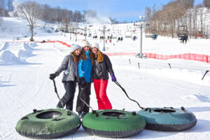 Top Winter Activities in Petoskey Area - Petoskey Area