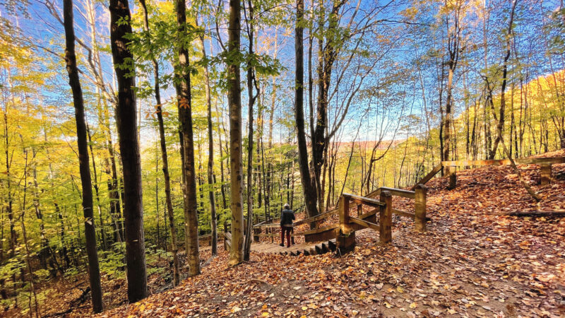 Fall Color Views and Lookout Points - Petoskey Area
