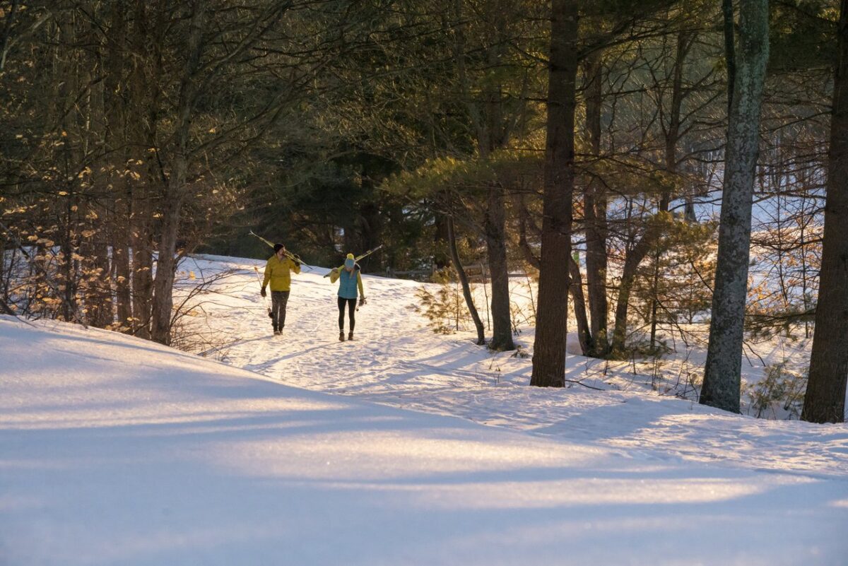 Ultimate Guide of Things to Do in Harbor Springs - Petoskey Area