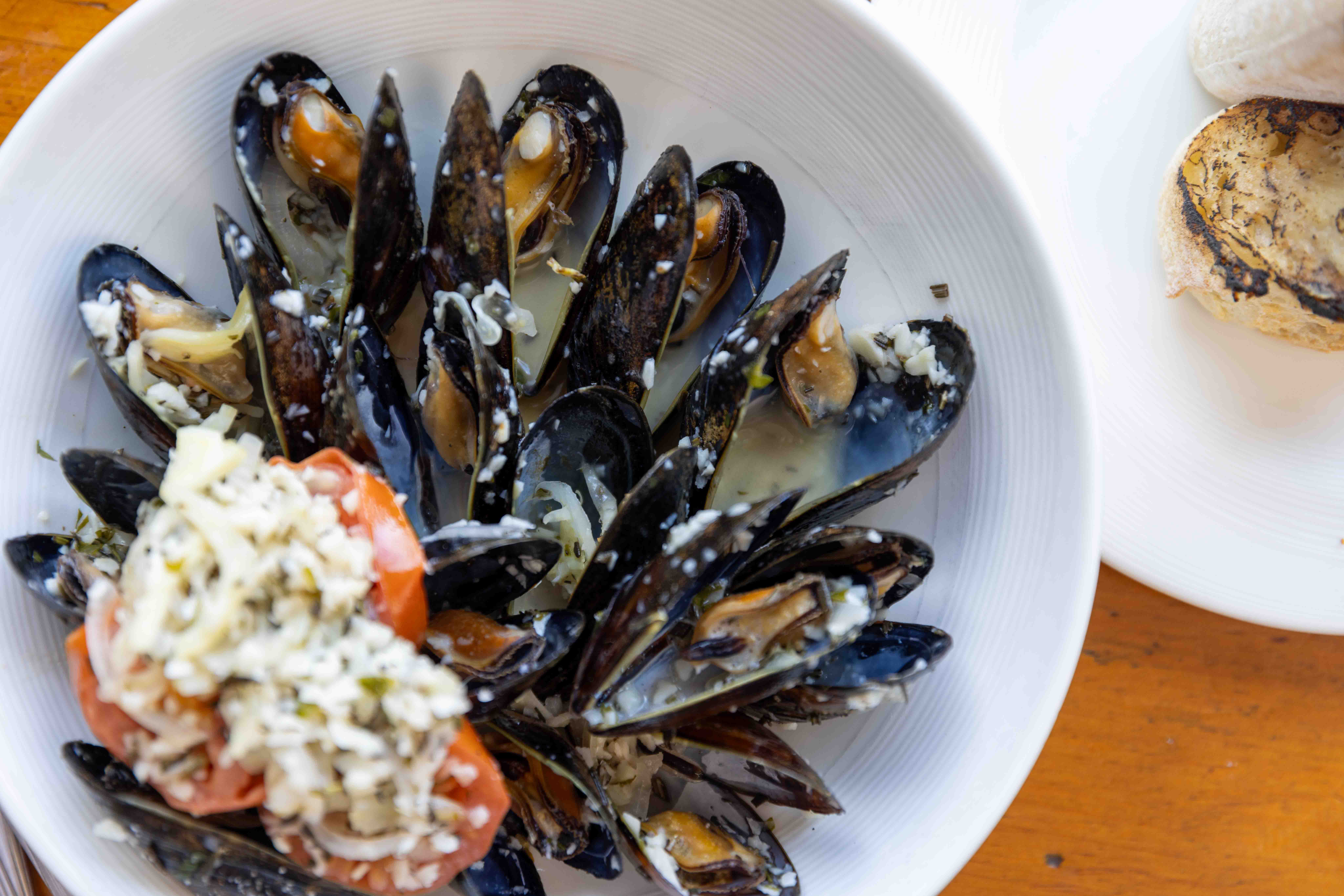 Mussel Night at Palette Bistro - Petoskey Area